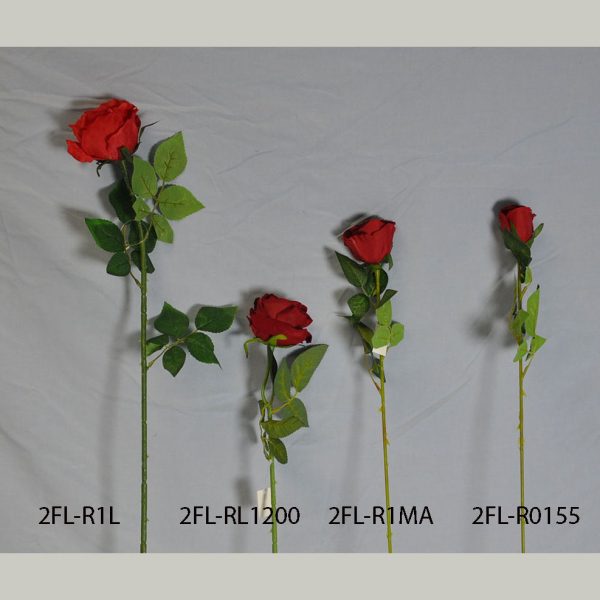 Single Deep Red Premium Rose stem (50cm) - Frogie
